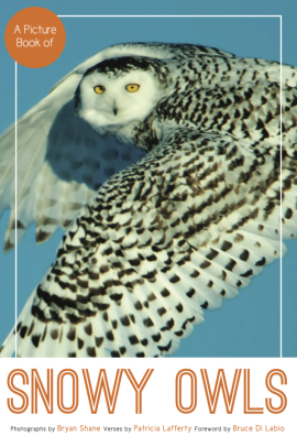 eBookIt.com Bookstore: A Picture Book of Snowy Owls